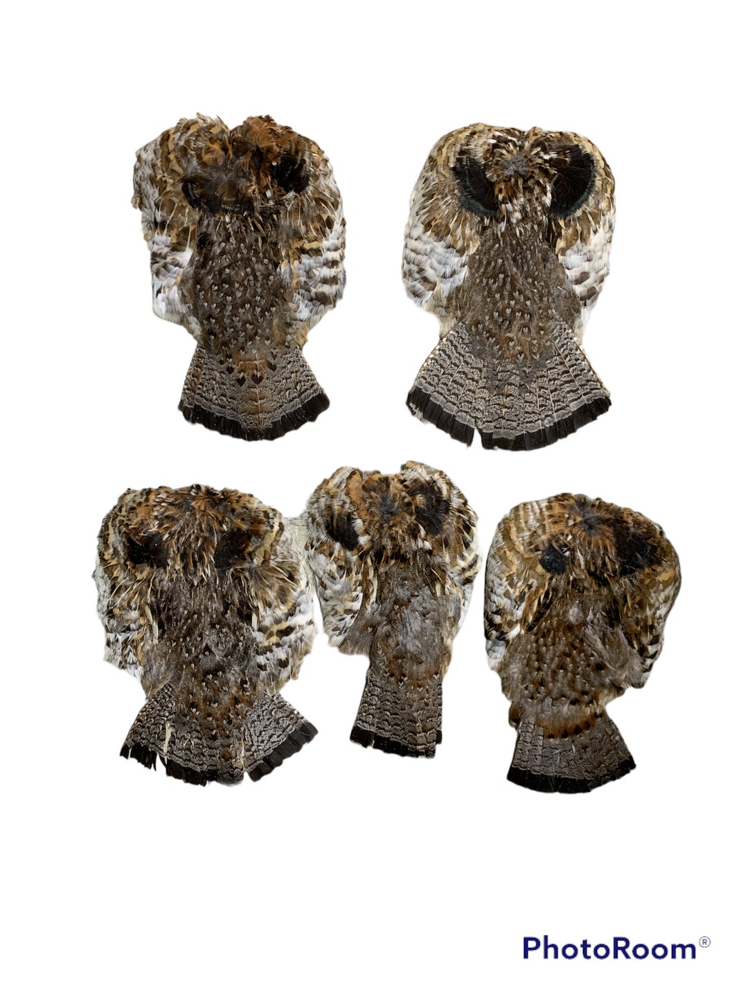 Ruff Grouse Skins No Wings (pack of 5) (ruffg-5 Pack) - Etsy