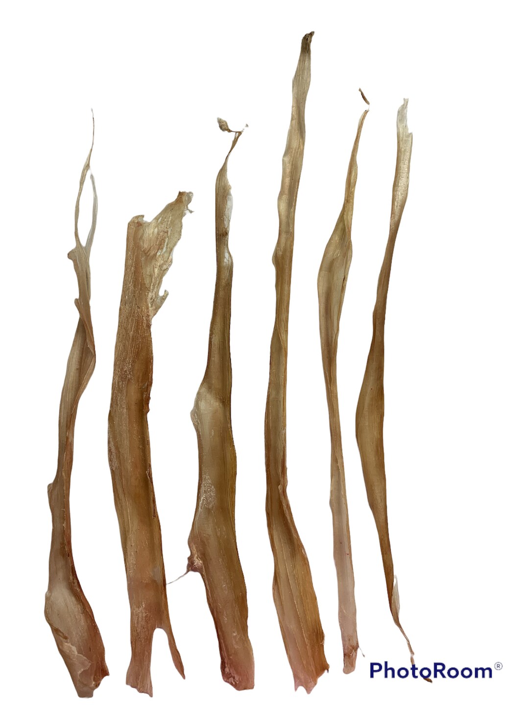 2 or 6 Pc Deer Back Sinew 16" Plus- Native Arts & Crafts, Bow Backing ...