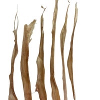 Sinew Backed Bow - Etsy