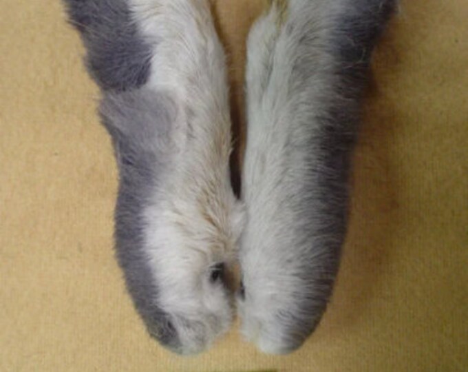Snowshoe Rabbit Back Feet, Choose You Color Light, Med, Dark Gray/dun ...