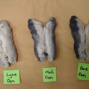Snowshoe Rabbit Back Feet, Choose You Color Light, Med, Dark Gray/dun ...