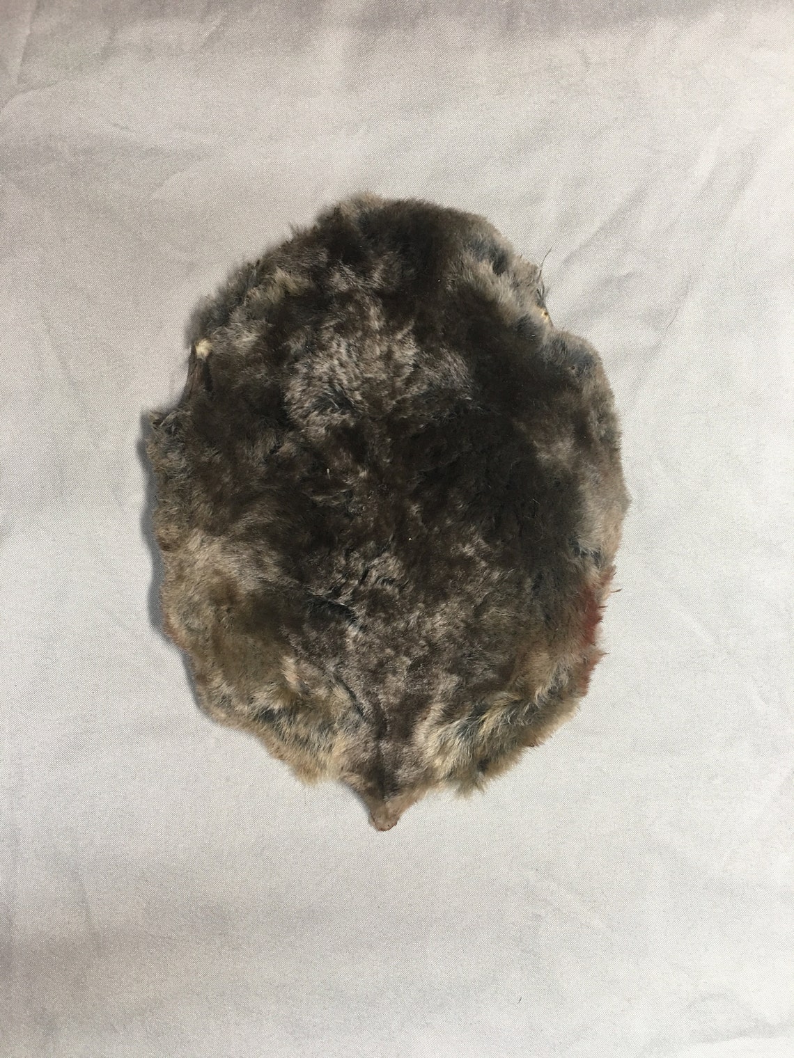 Mole Skins raw/dried MO-1 | Etsy