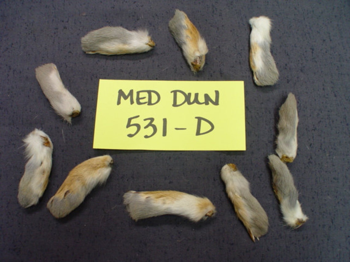 10 Natural or Dyed Snowshoe Rabbit Front Feet Fly Tying Lures Jigs ...