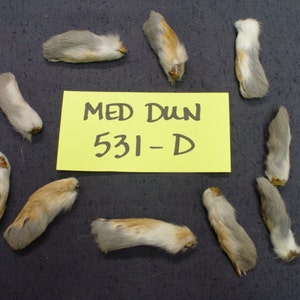 10 Natural or Dyed Snowshoe Rabbit Front Feet Fly Tying Lures Jigs ...