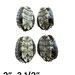 Baby Map Turtle Shells 2 3.5 Inch Sizes Available TU9 - Etsy
