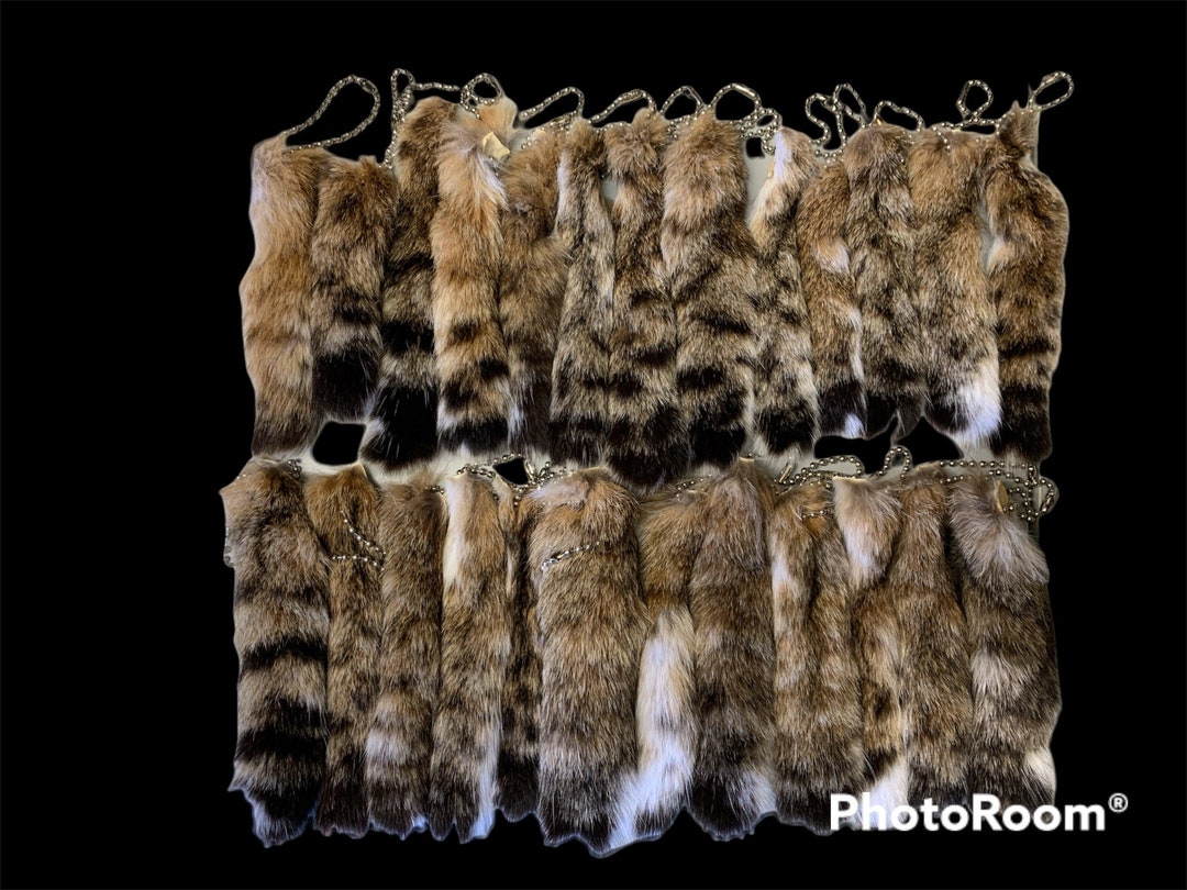 Genuine Bobcat Tails Keychain (bundle of 25) - Etsy