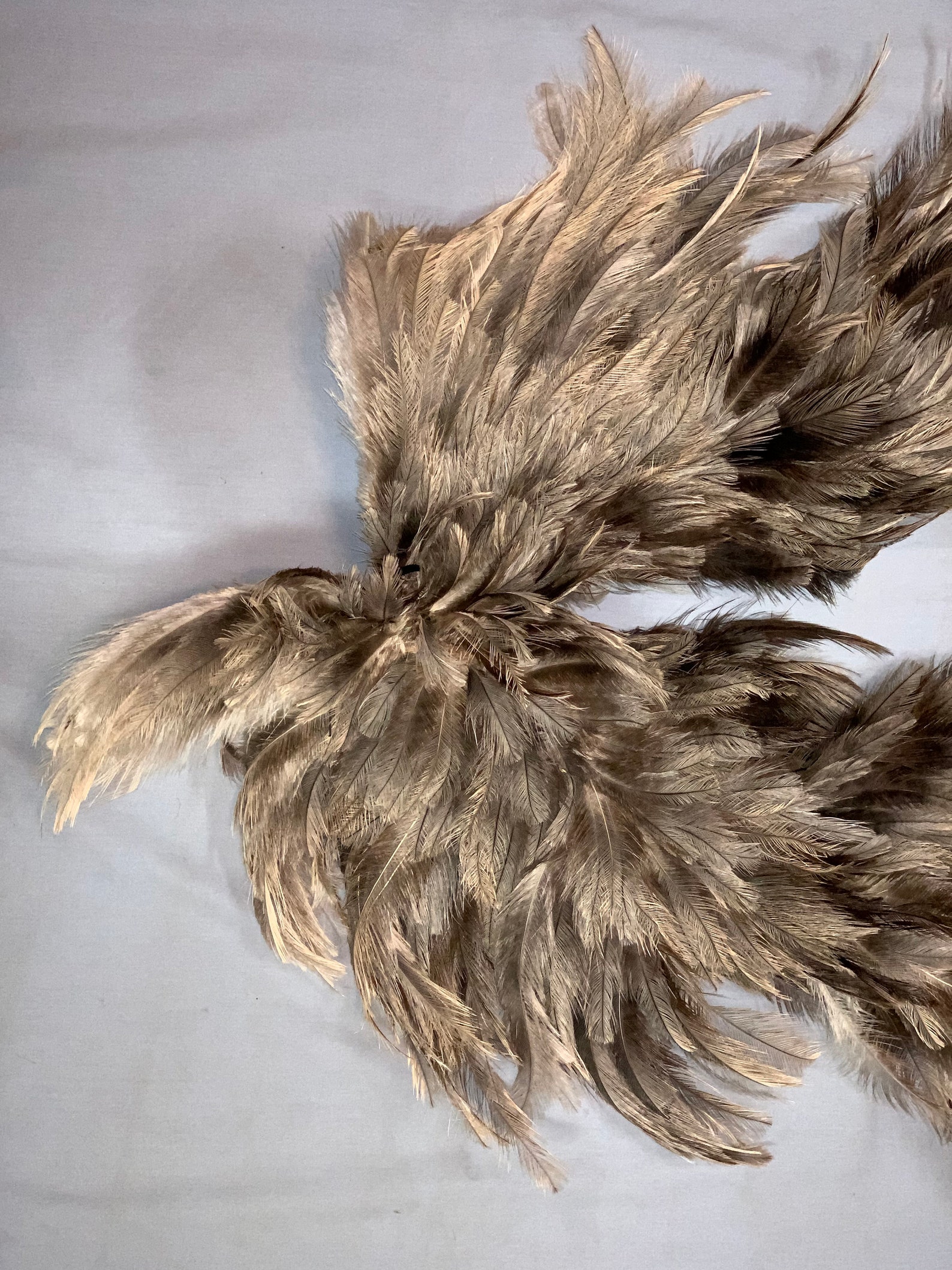 Rhea Wing Pairs Natural (RH2) - Etsy