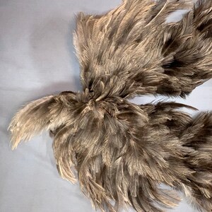 Rhea Wing Pairs Natural (RH2) - Etsy