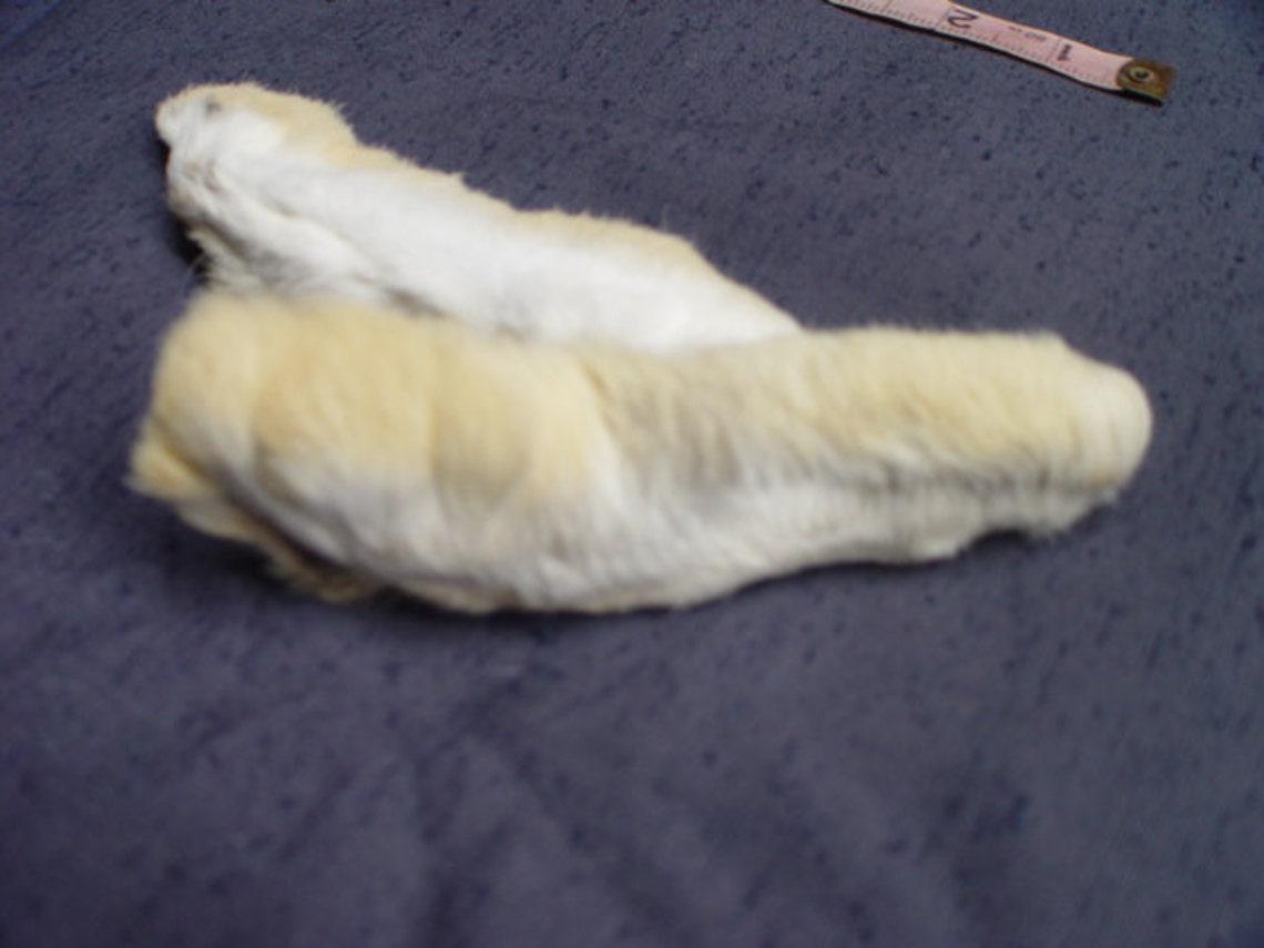 Snowshoe Rabbit Back Feet (2) for Fly Tying, Crafts, Decor, Etc. - Etsy