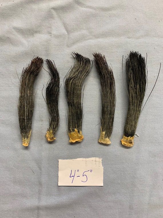 Turkey Beards choose Your Size - Etsy
