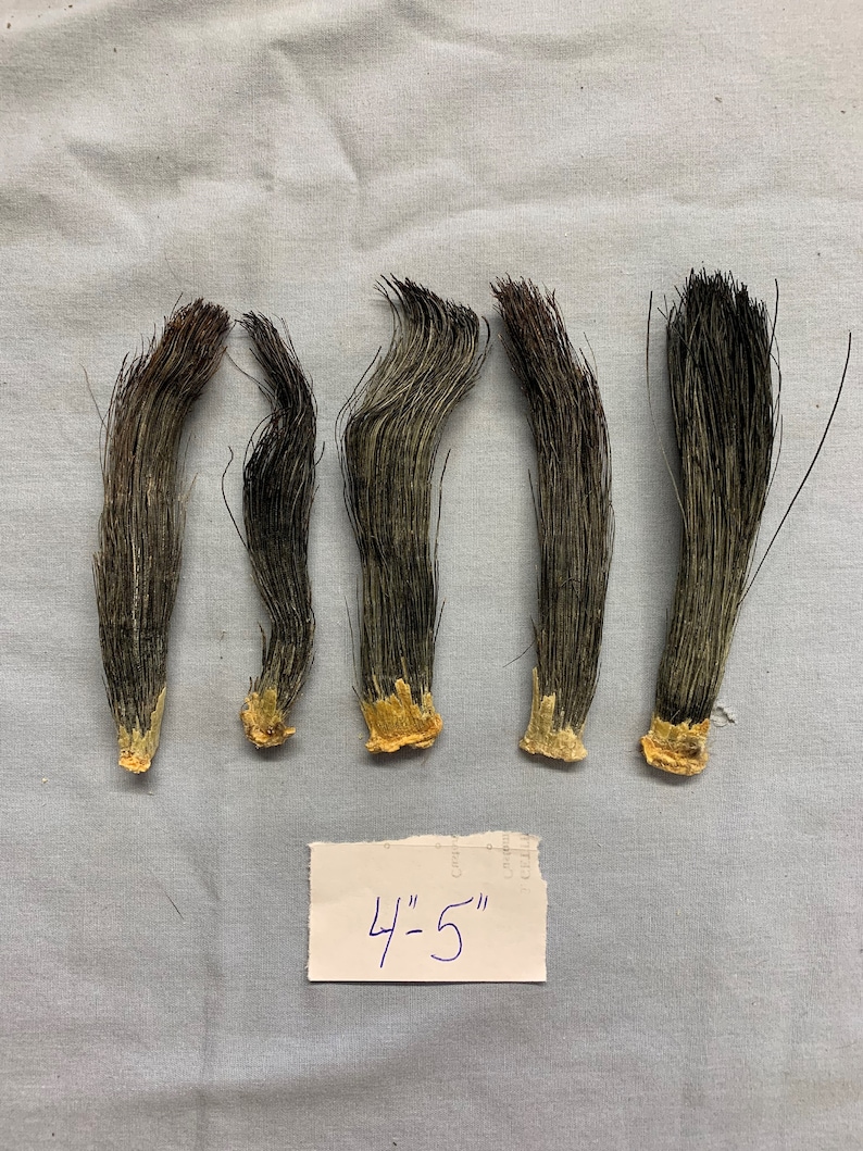 Turkey Beards choose Your Size - Etsy
