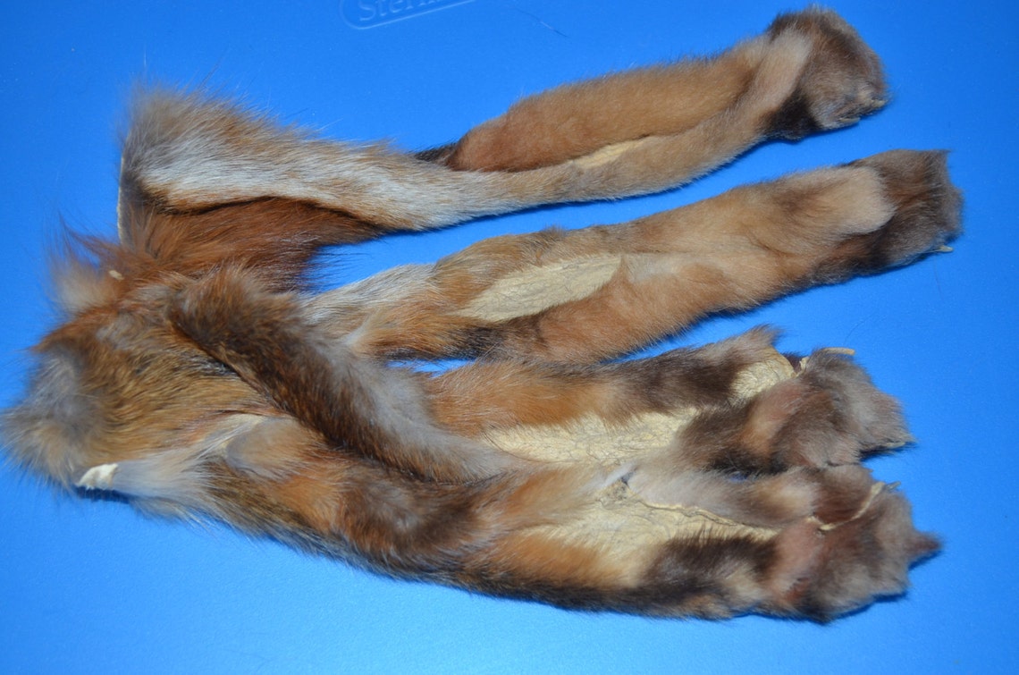 Set of 4 Red Fox Paws With Legskins Tanned 7-10 598 - Etsy