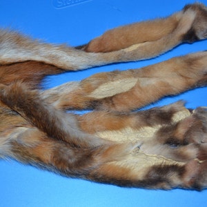 Set of 4 Red Fox Paws With Legskins Tanned 7-10 598 - Etsy