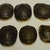 Small Natural Red Eared Slider Turtle Shells 4 - 5 1/2 Inch CHOOSE Your ...