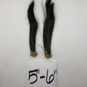 Turkey Beards (choose Your Size) - Etsy