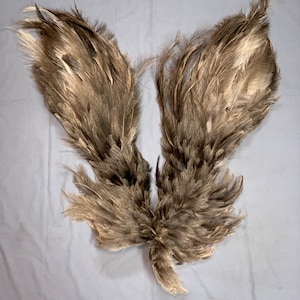 Rhea Wing Pairs Natural (RH2) - Etsy