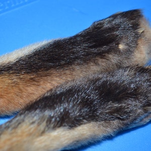 Set of 4 Red Fox Paws With Legskins- Tanned ~7-10" (#598) - Etsy