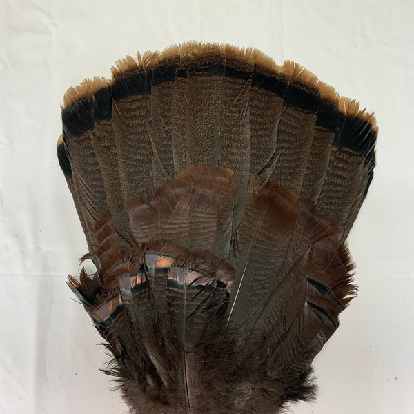 Turkey Feather Art - Etsy