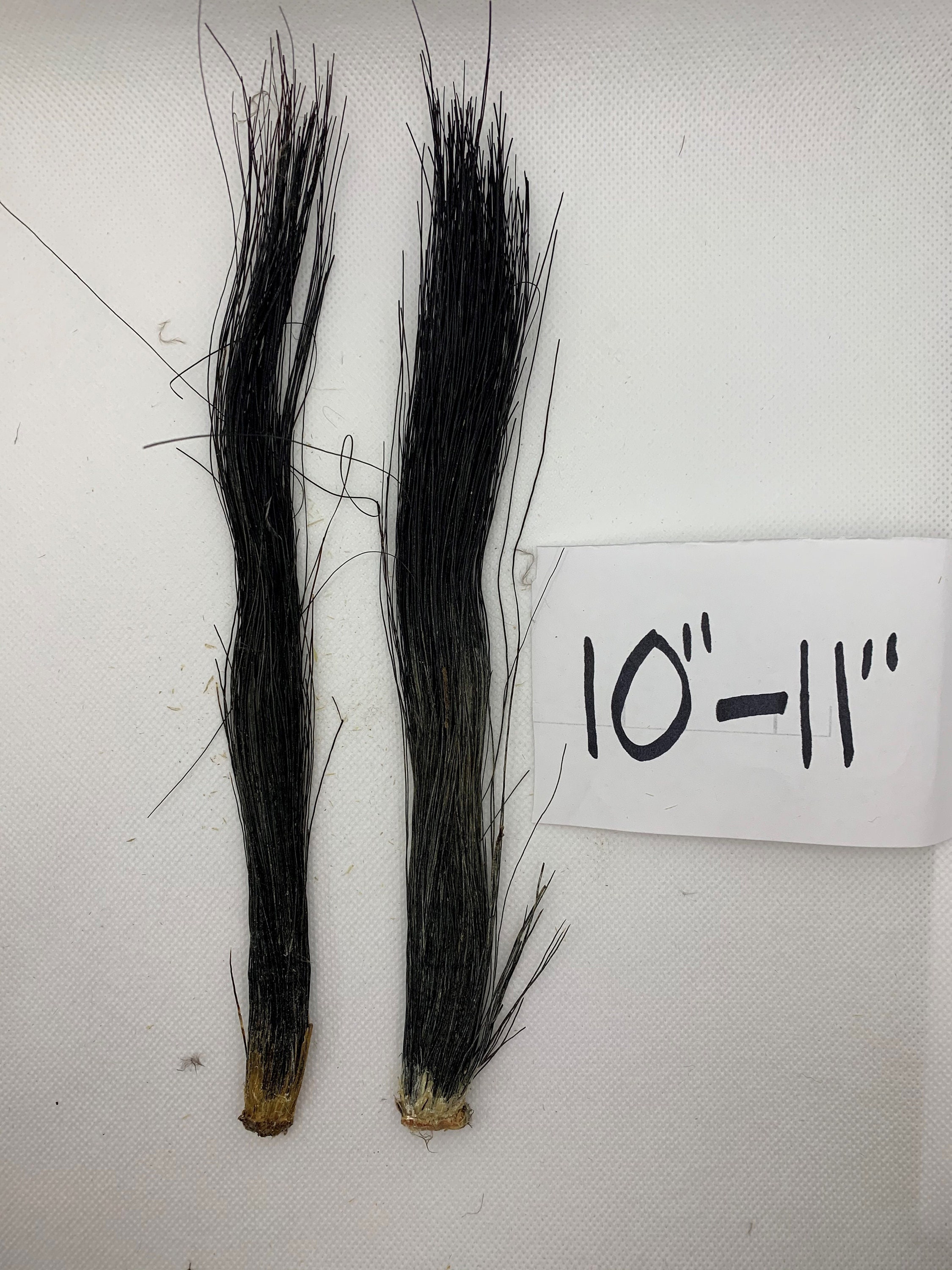 Turkey Beards choose Your Size - Etsy Israel