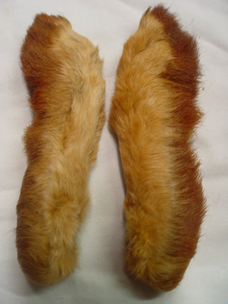 Two Dyed Brown Snowshoe Rabbit Back Feet for Fly Tying - Etsy