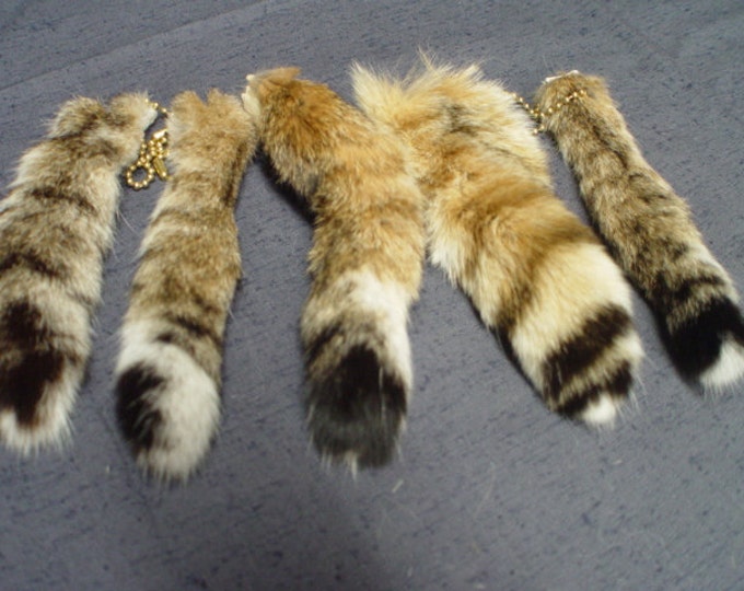 Genuine Bobcat Tail Keychain CHOOSE SIZE - Etsy