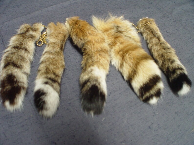 Genuine Bobcat Tail Keychain CHOOSE SIZE - Etsy