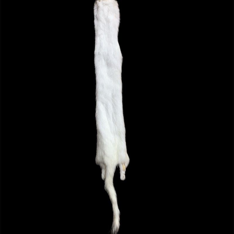 Ermine - Etsy