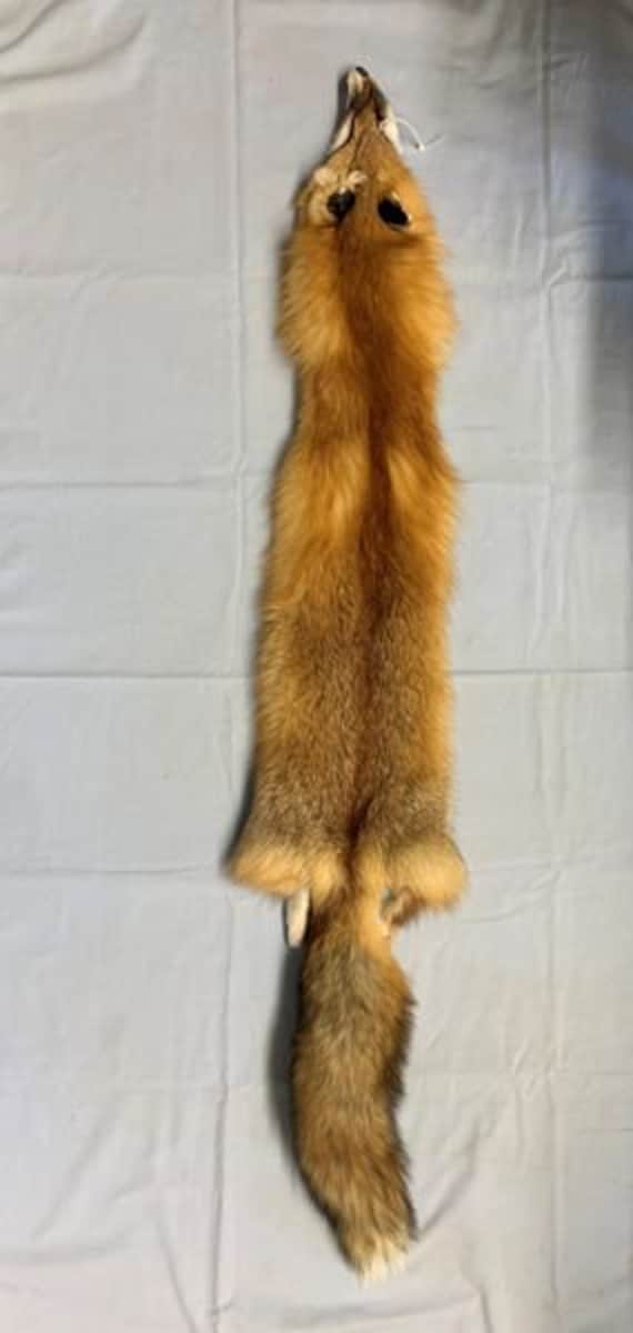 Red Fox Pelt 1 | Etsy