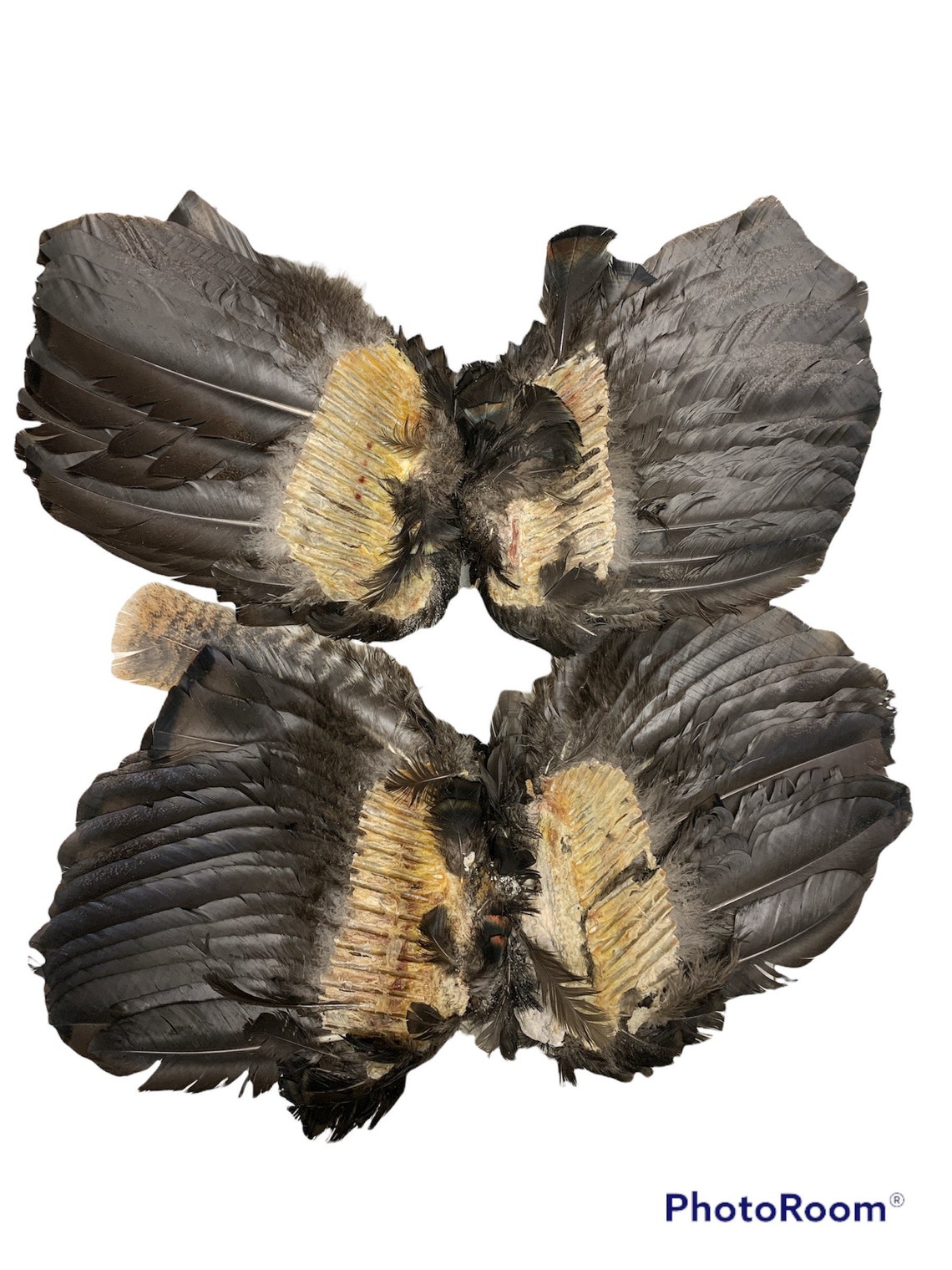 Greater & Lesser Secondary Covert Iridescent Turkey Wing - Etsy