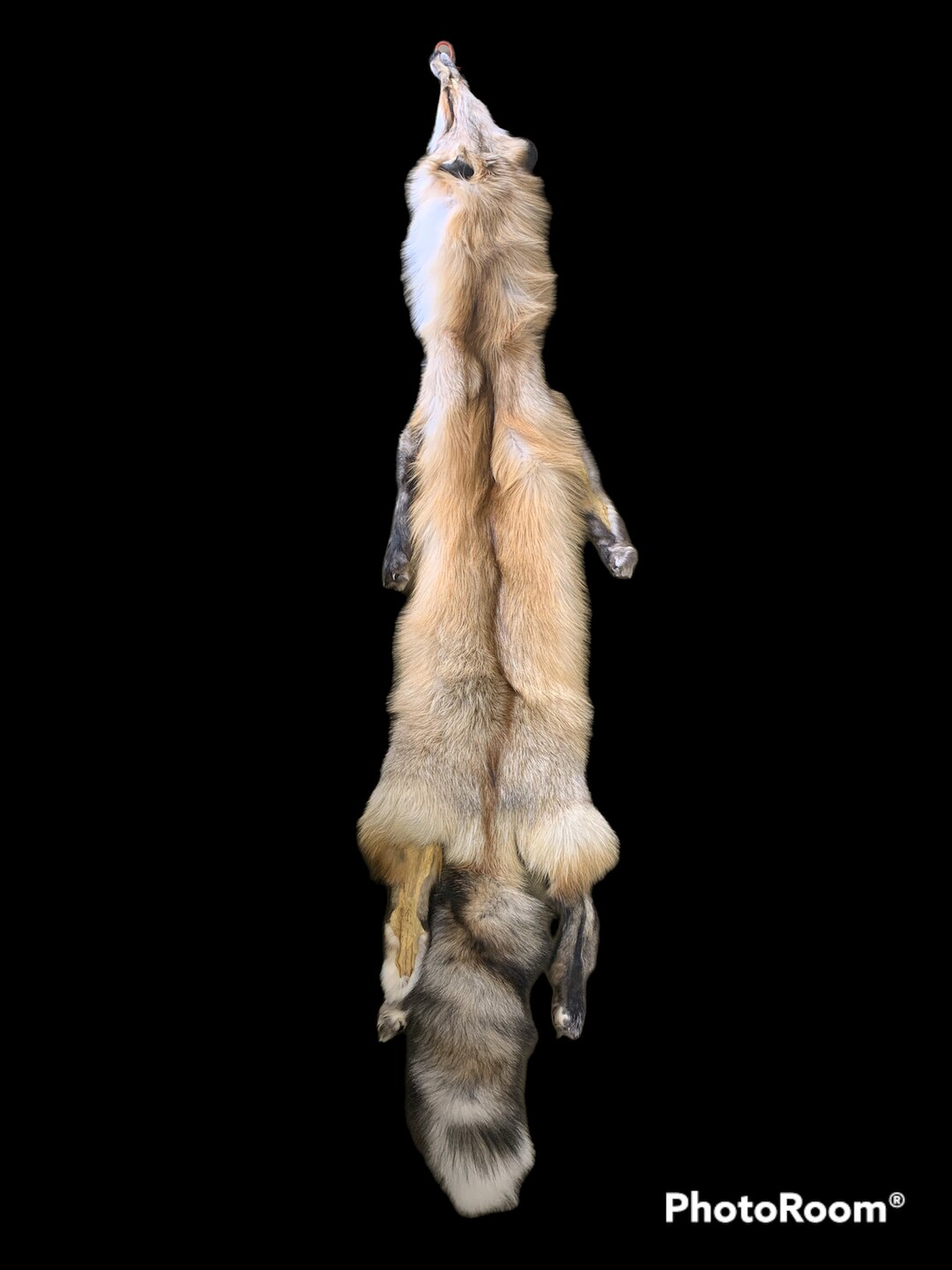Ranch Red Cross Fox Pelt W/feet 2X (NEW) (RCF-63) - Etsy