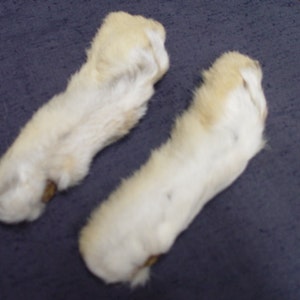 Snowshoe Rabbit Back Feet (2) for Fly Tying, Crafts, Decor, Etc. - Etsy