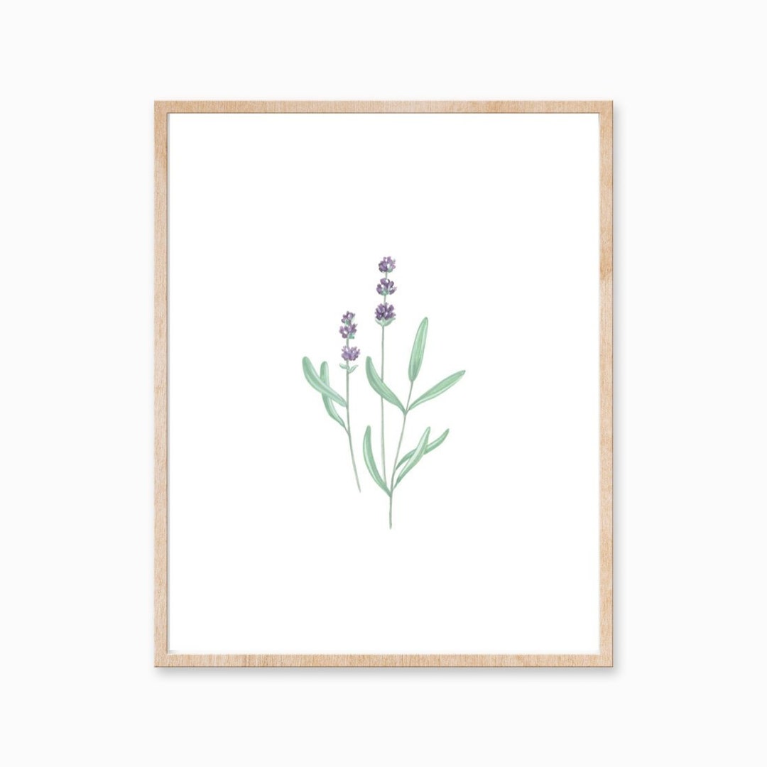 Lavender Print, Lavender Art, Plant Art, Plant Print, Floral Print ...