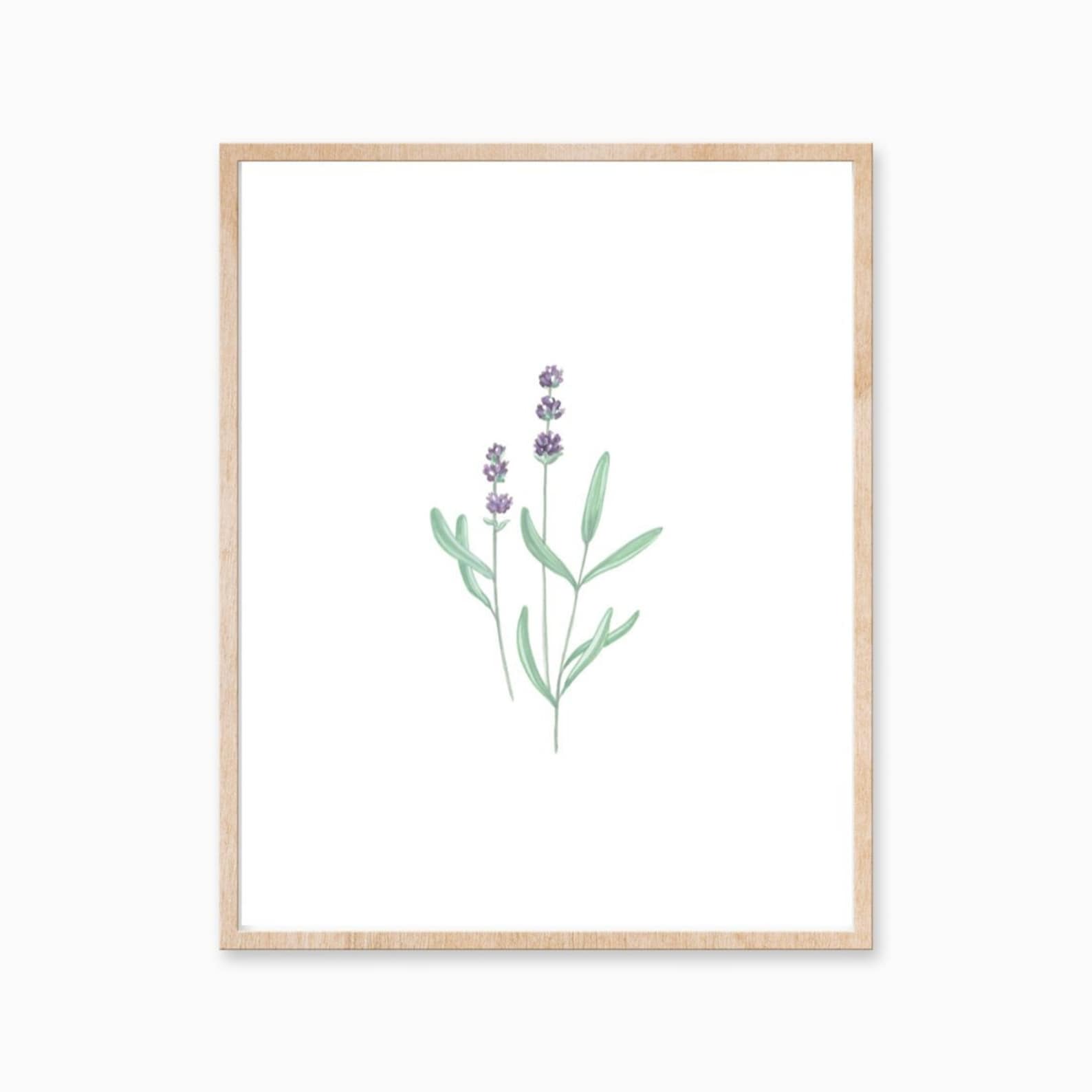 Lavender Print Lavender Art Plant Art Plant Print Floral | Etsy