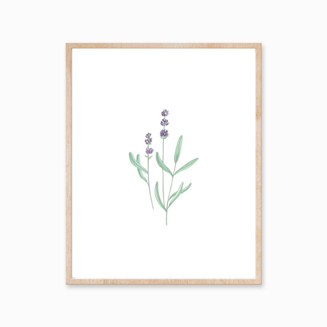 Lavender Print Lavender Art Plant Art Plant Print Floral | Etsy