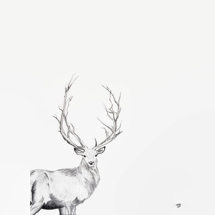 Deer Ink Print, Stag Ink Drawing, Stag Art, Buck Print, Boho Decor ...