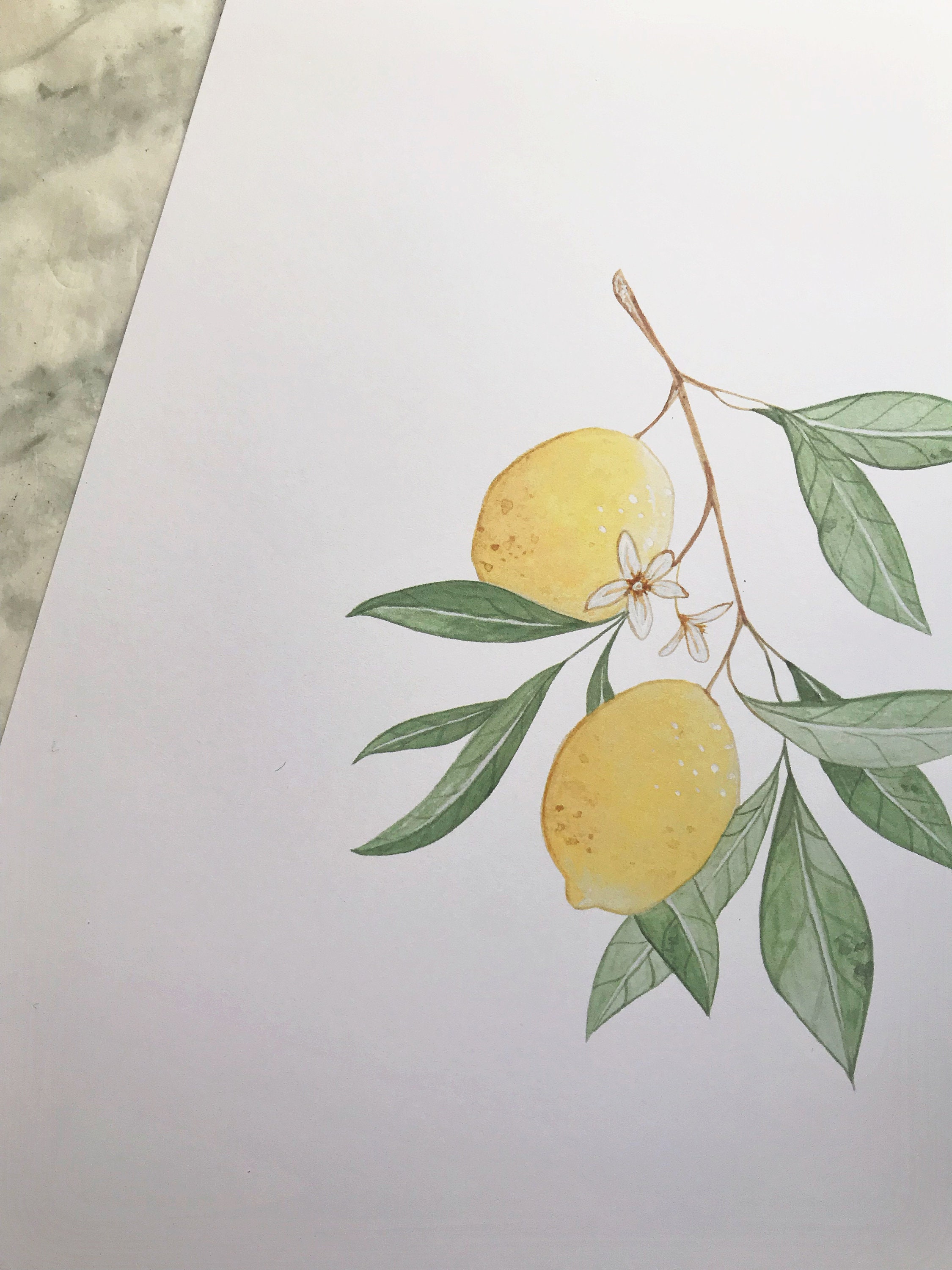 Lemon Print Botanical Print Farmhouse Art Minimal Plant | Etsy
