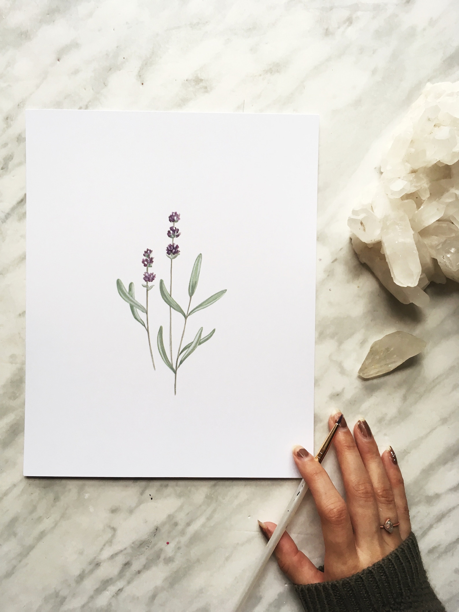 Lavender Print Lavender Art Plant Art Plant Print Floral | Etsy