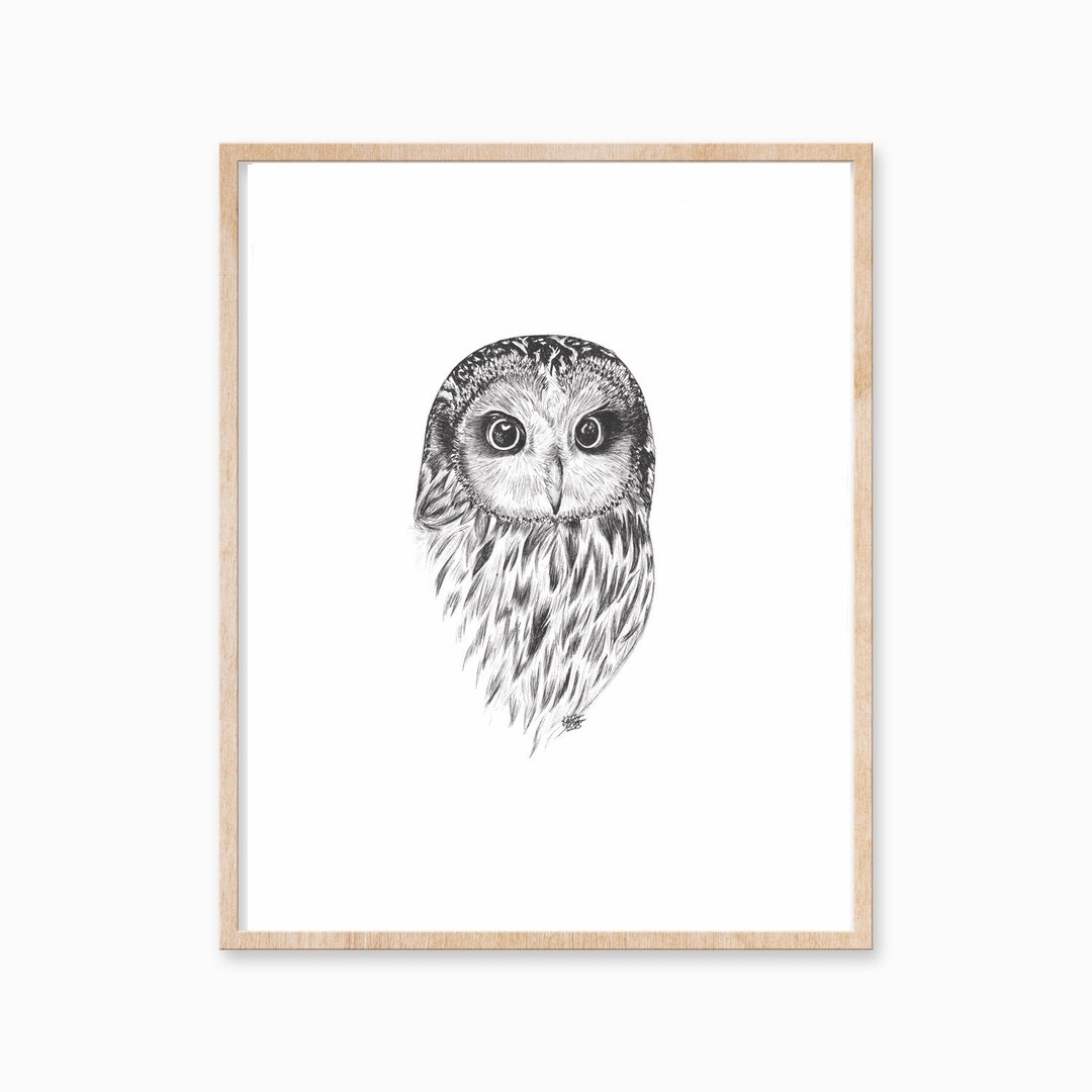 Owl Print Owl Decor Owl Ink Print Owl Art Owl Drawing Owl - Etsy