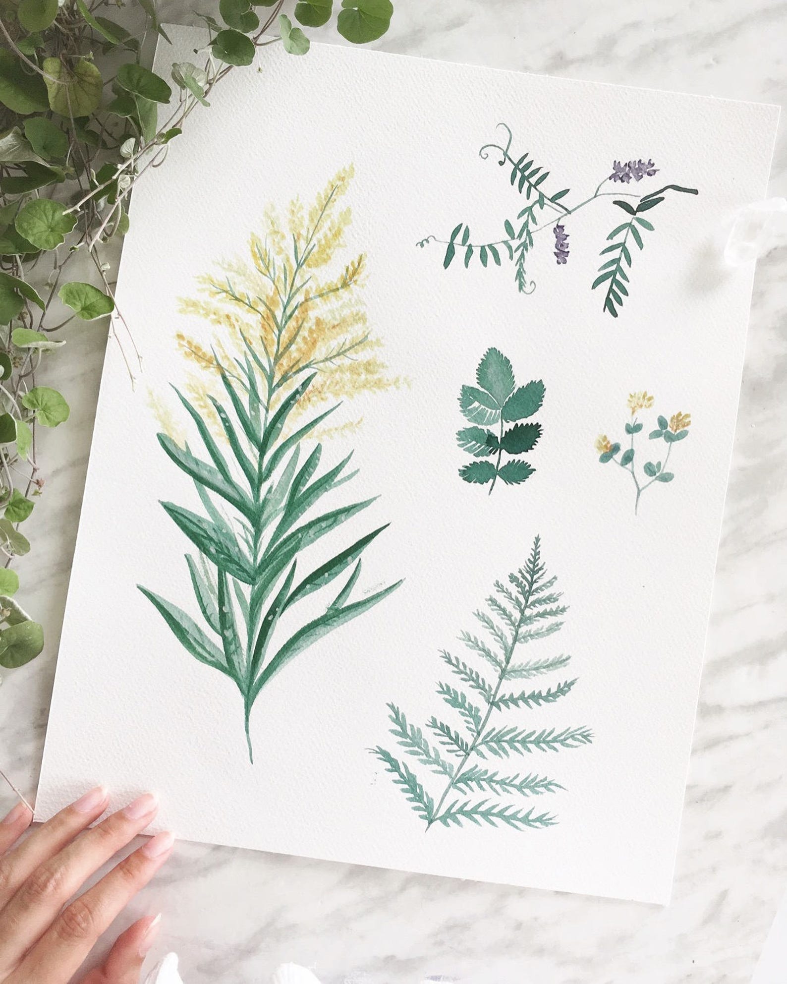 Plant Print Wildflower Print Weed Print Flower Art Flower - Etsy Canada