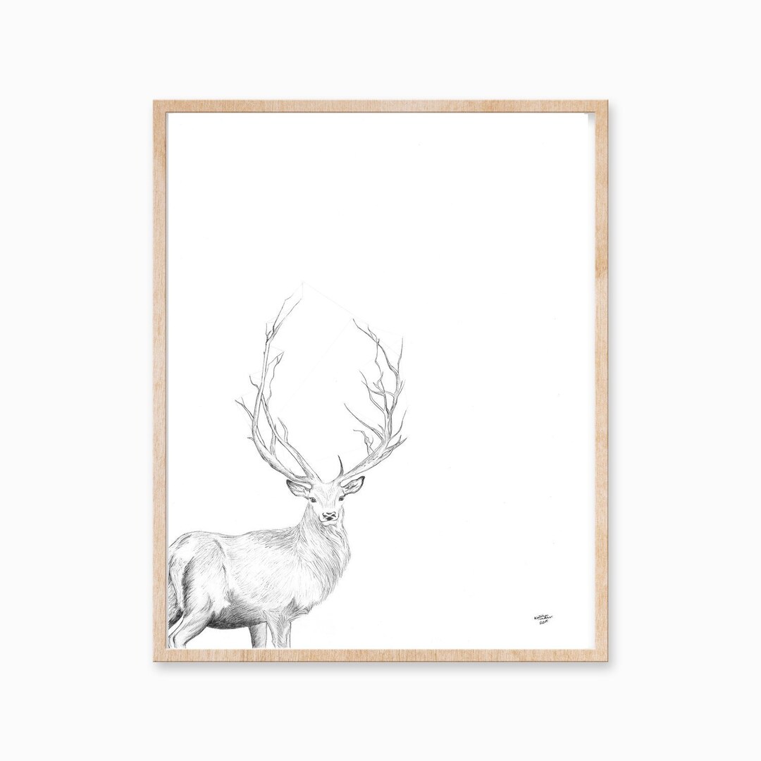 Deer Ink Print, Stag Ink Drawing, Stag Art, Buck Print, Boho Decor ...