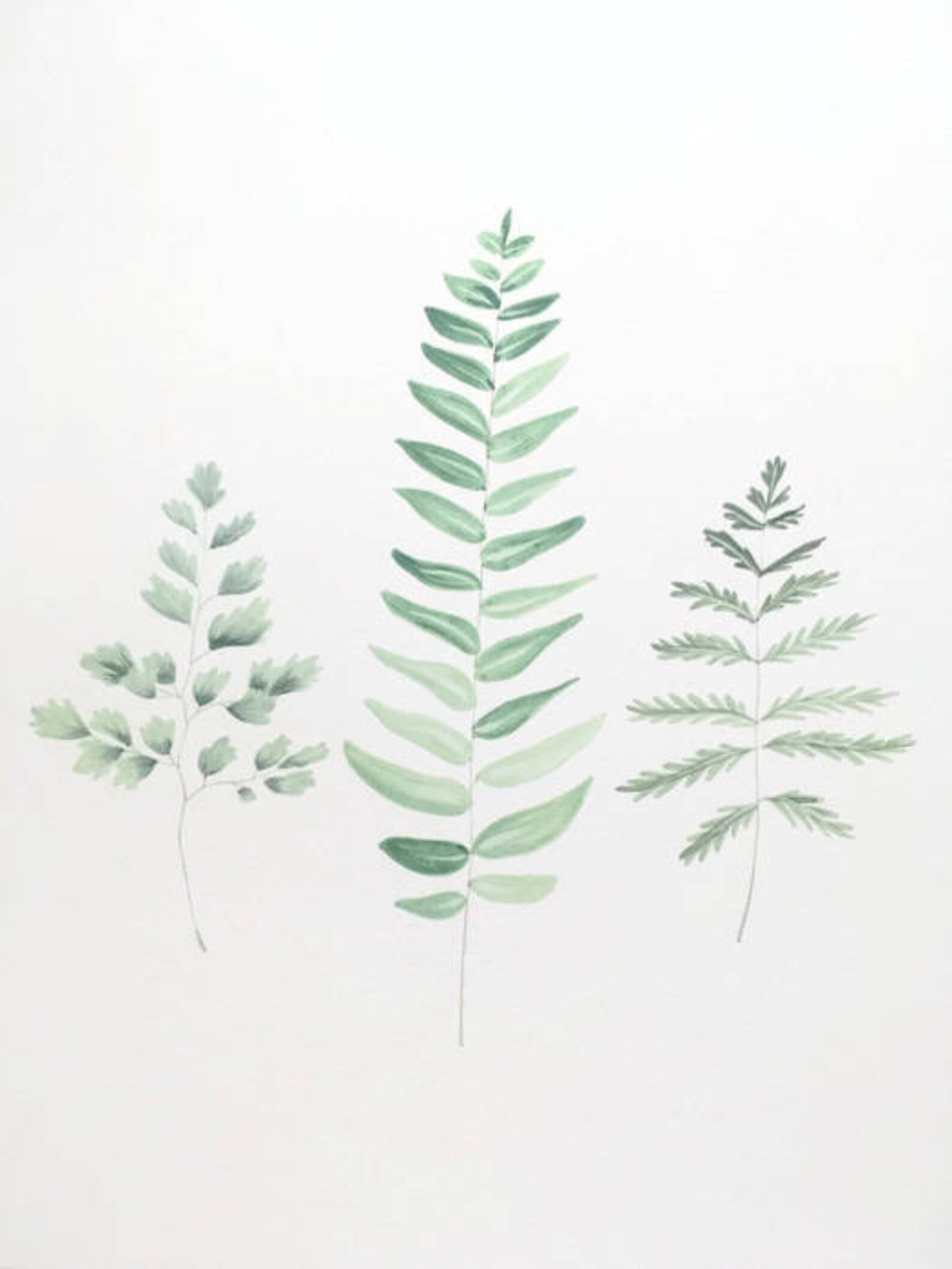 Fern Print Plant Print Fern Art Plant Art Fern Painting - Etsy