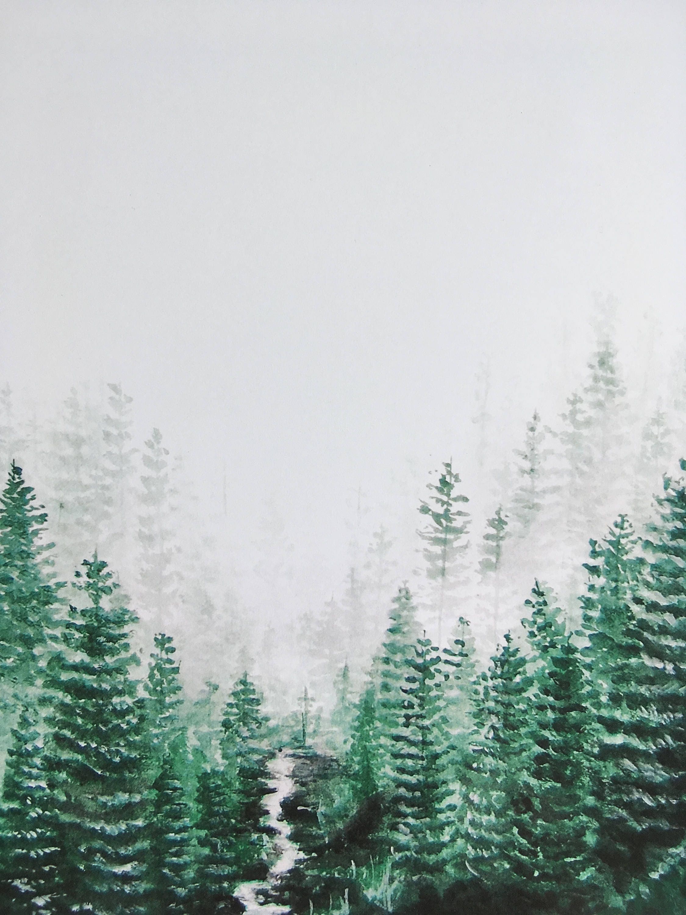 Forest Print Nature Print Forest Art Nature Art Minimal | Etsy Canada