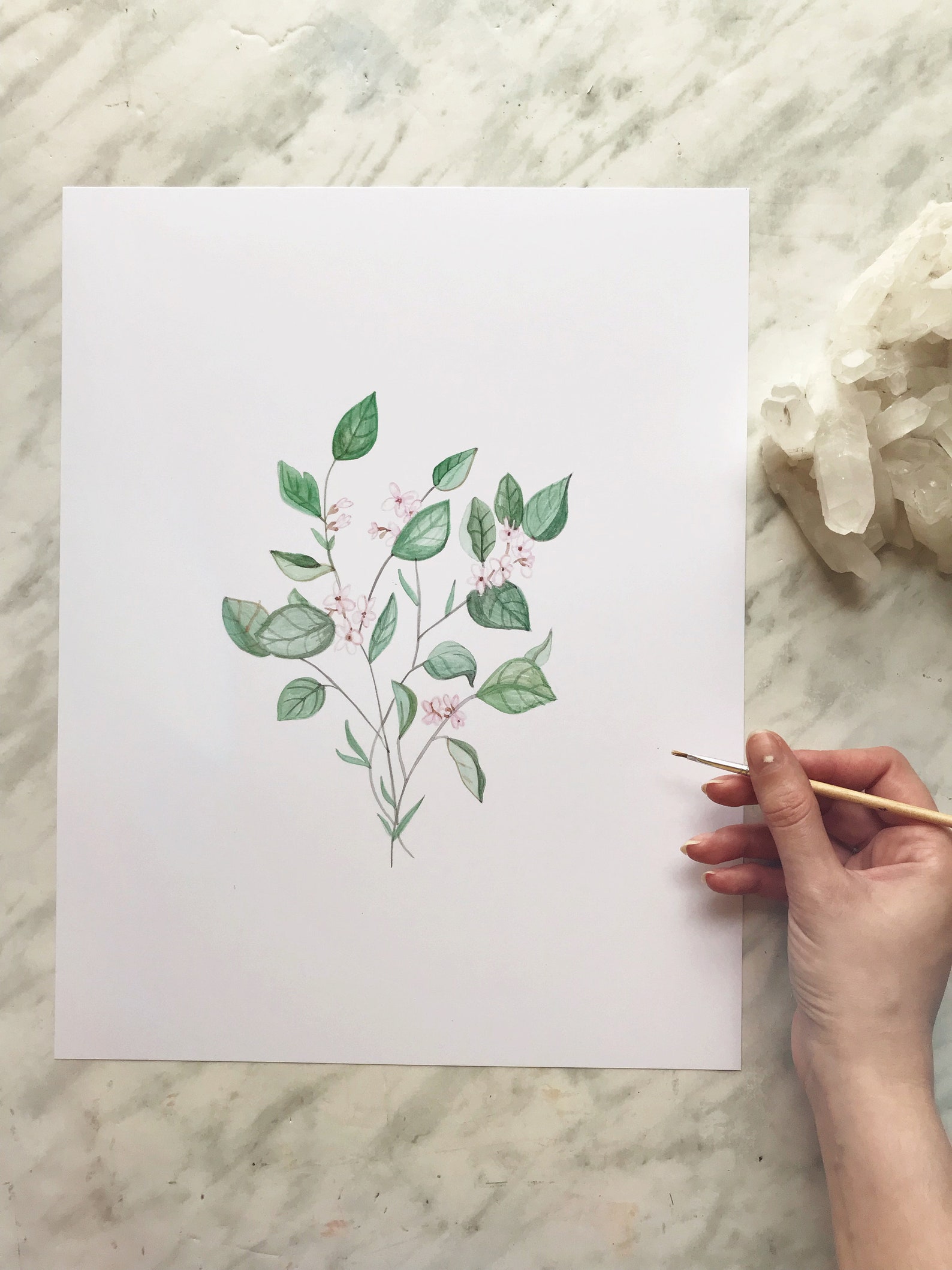 Mayflower Print, Wildflower Print, Plant Print, Floral Art, Flower ...