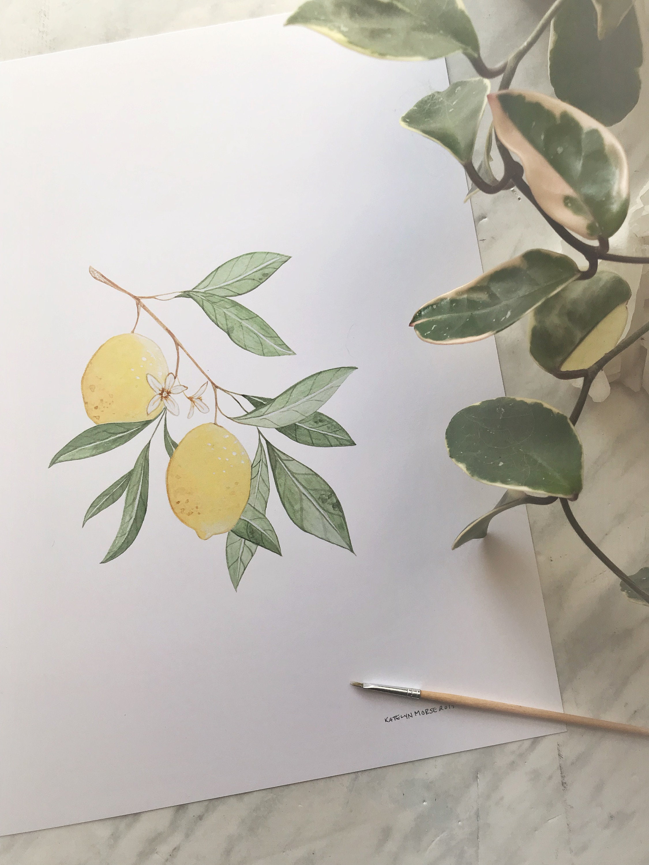 Lemon Print Botanical Print Farmhouse Art Minimal Plant | Etsy