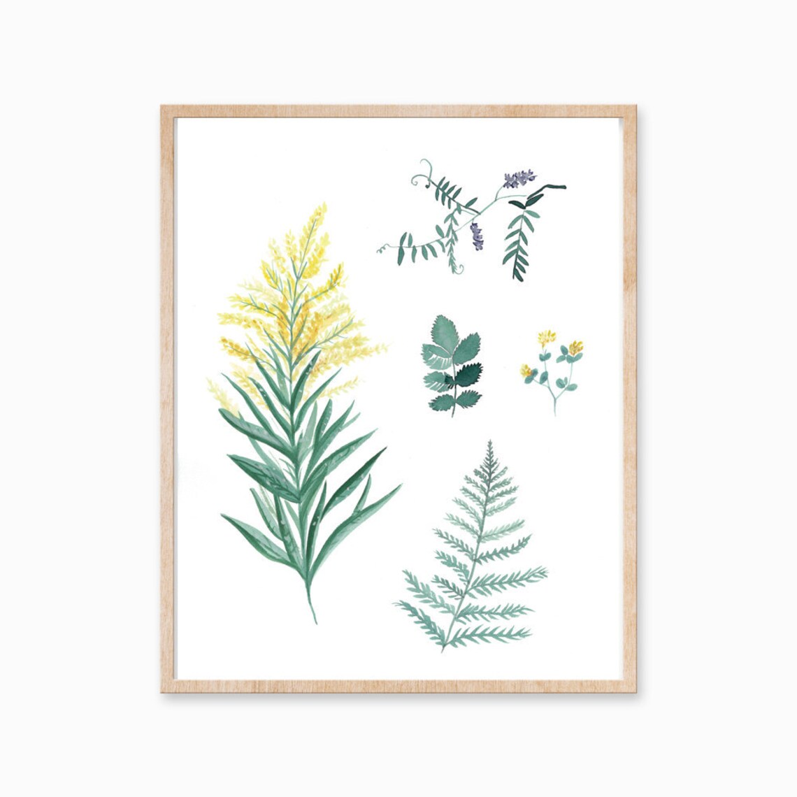 Plant Print Wildflower Print Weed Print Flower Art Flower - Etsy Canada