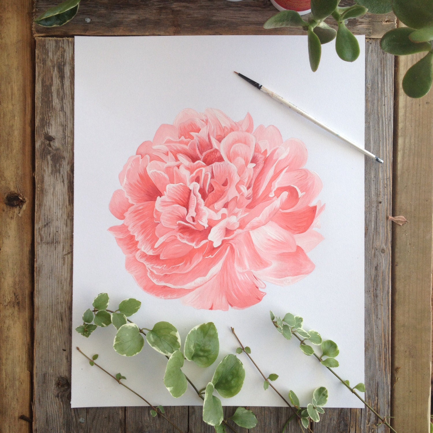 Pink Peony Print Pink Flower Print Botanical Art Floral - Etsy
