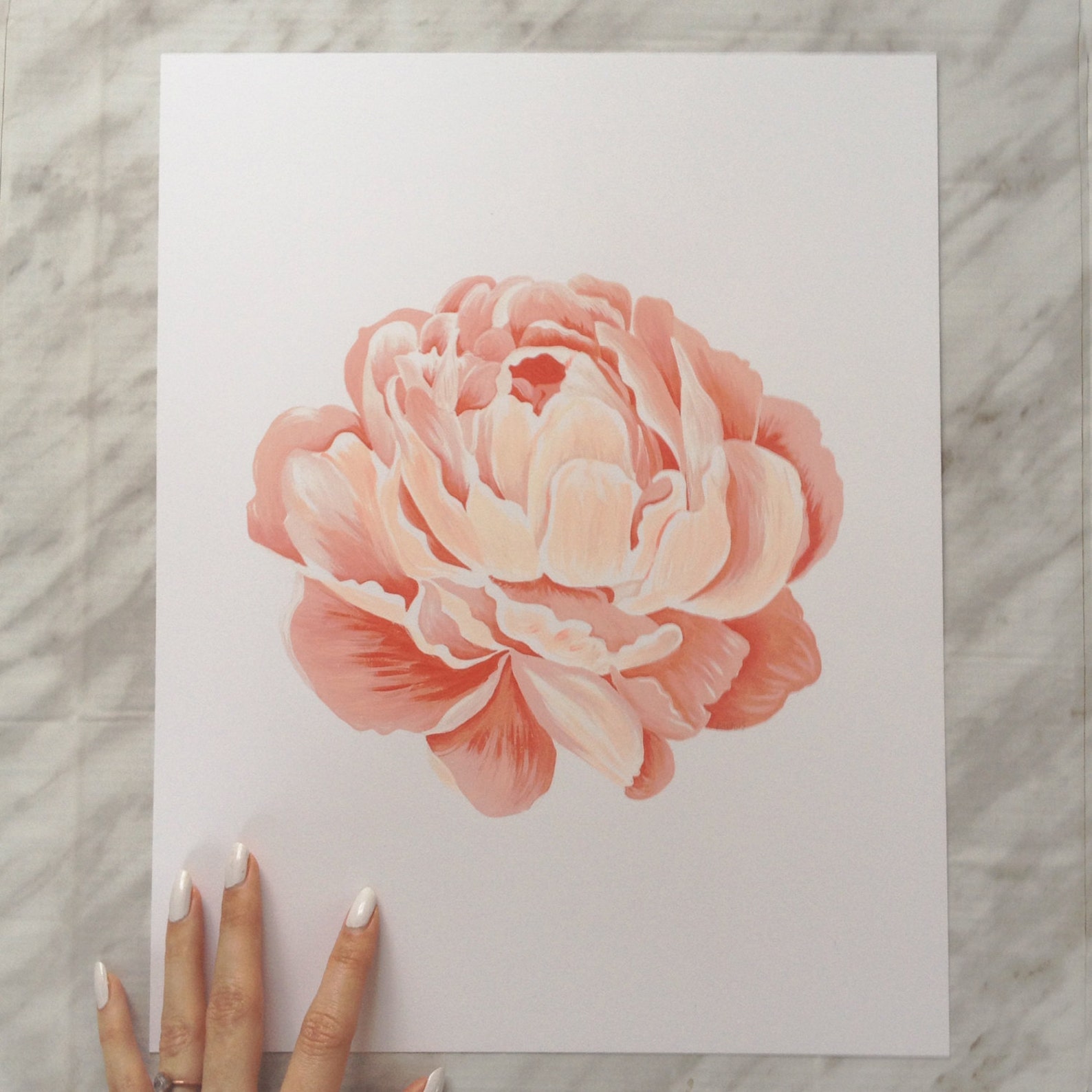 Pink Peony Print Coral Flower Print Peony Artwork Floral - Etsy Canada