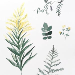 Plant Print Wildflower Print Weed Print Flower Art Flower - Etsy Canada