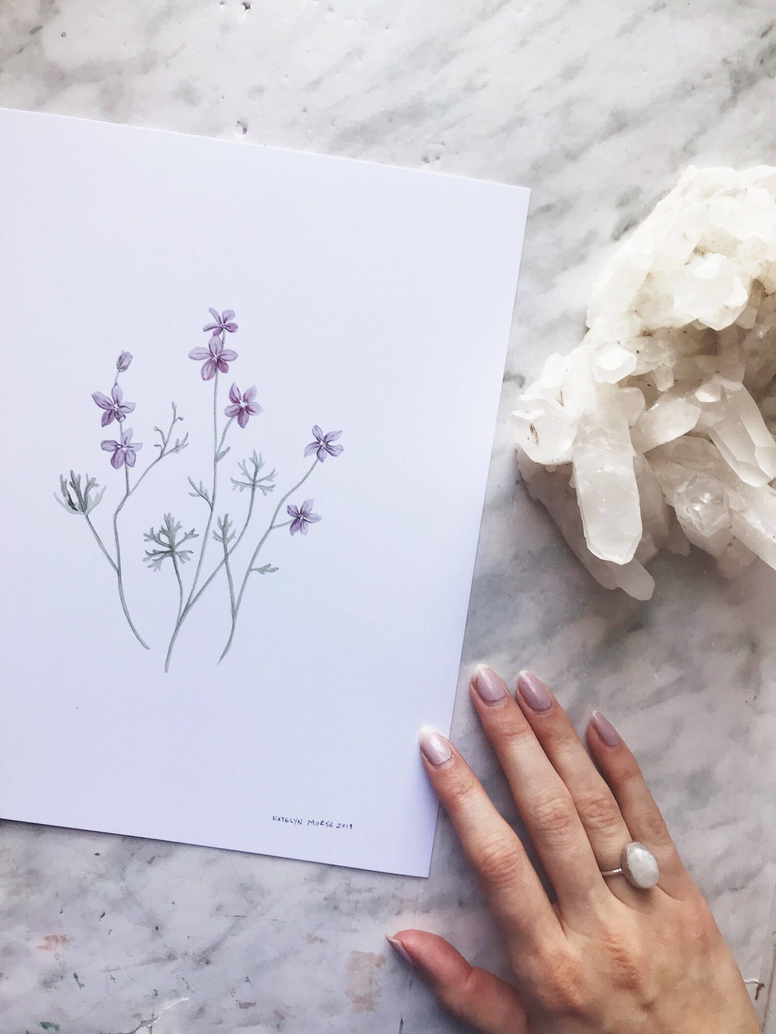 Larkspur Print, Botanical Art, Minimal Plant Art, Floral Print, Purple ...
