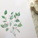 Mayflower Print, Wildflower Print, Plant Print, Floral Art, Flower ...